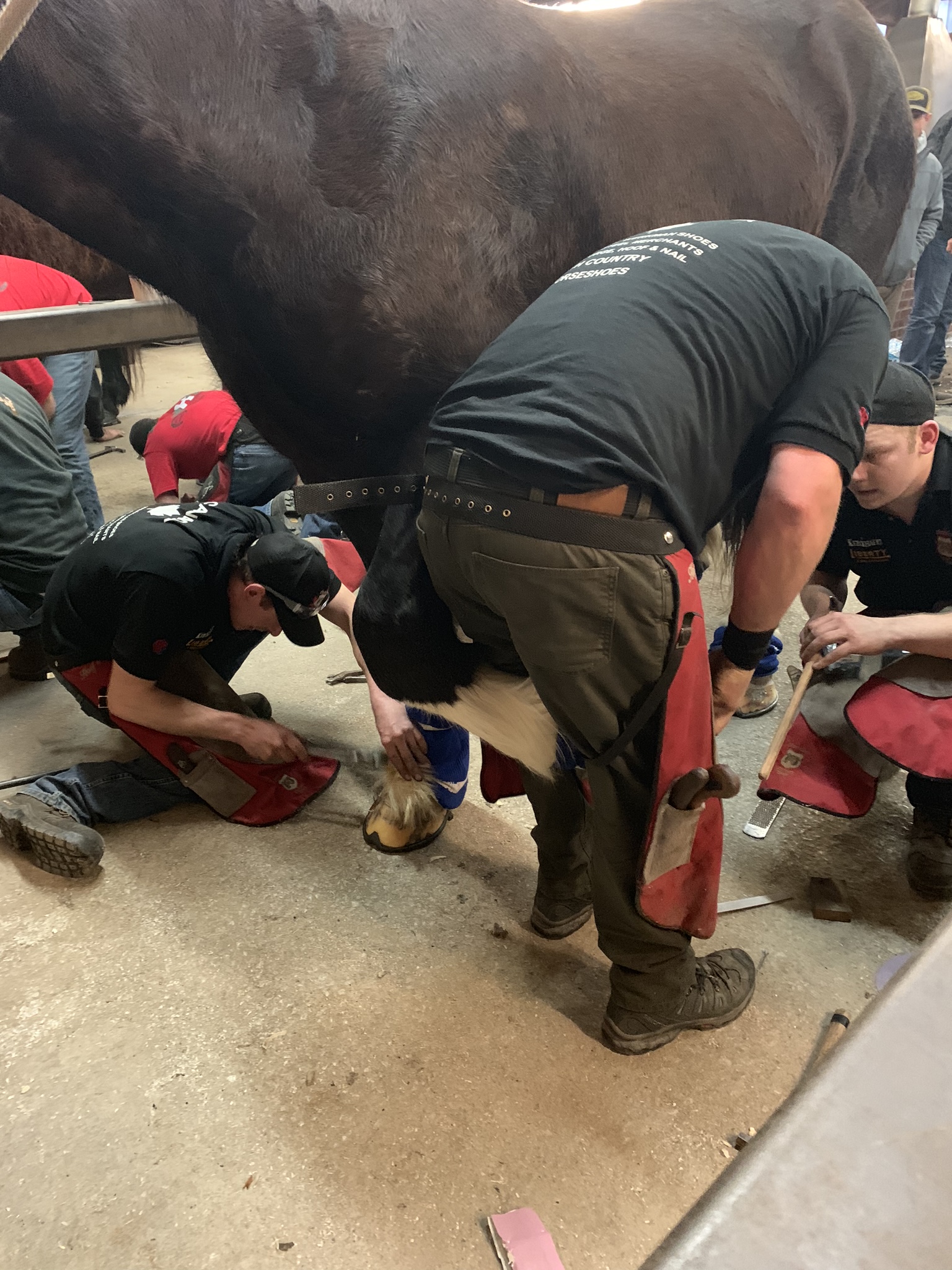 Best Hoof Forward - Village@work